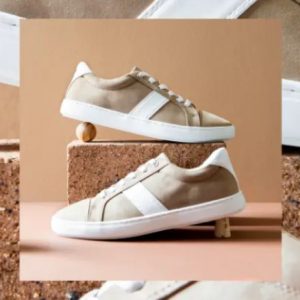 Mall Walker Program | Countryside Mall