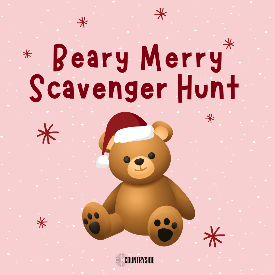 Beary Merry Scavenger Hunt | Countryside Mall